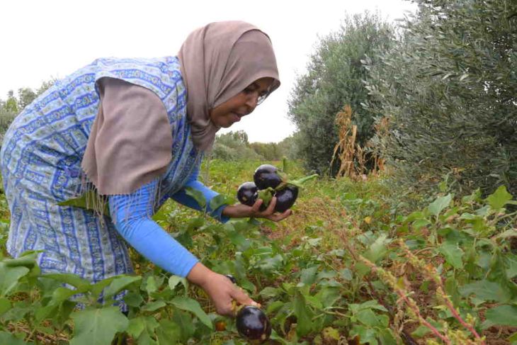 Gender Equality The Asean Post